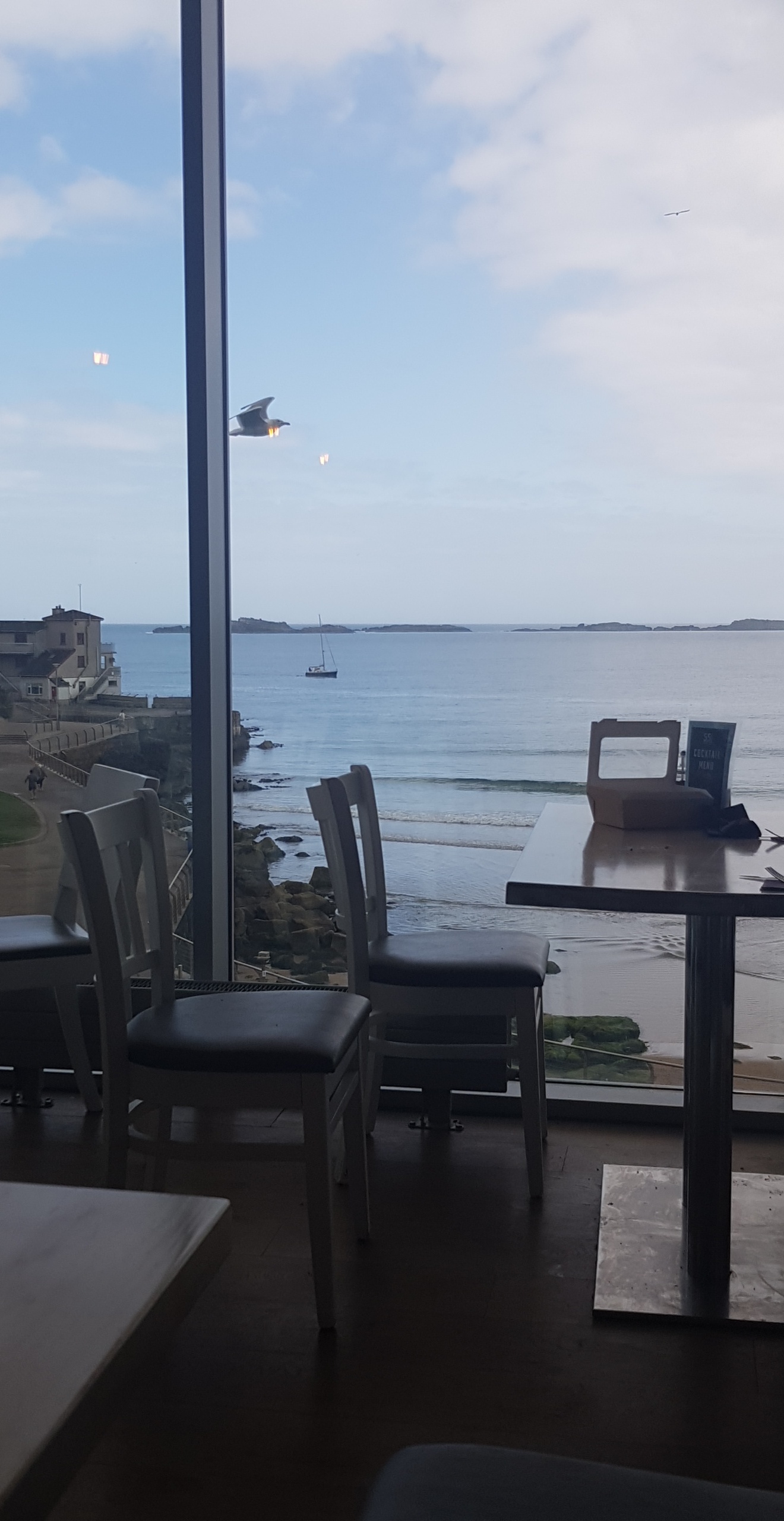 Capturing the bird flying | Scrolller