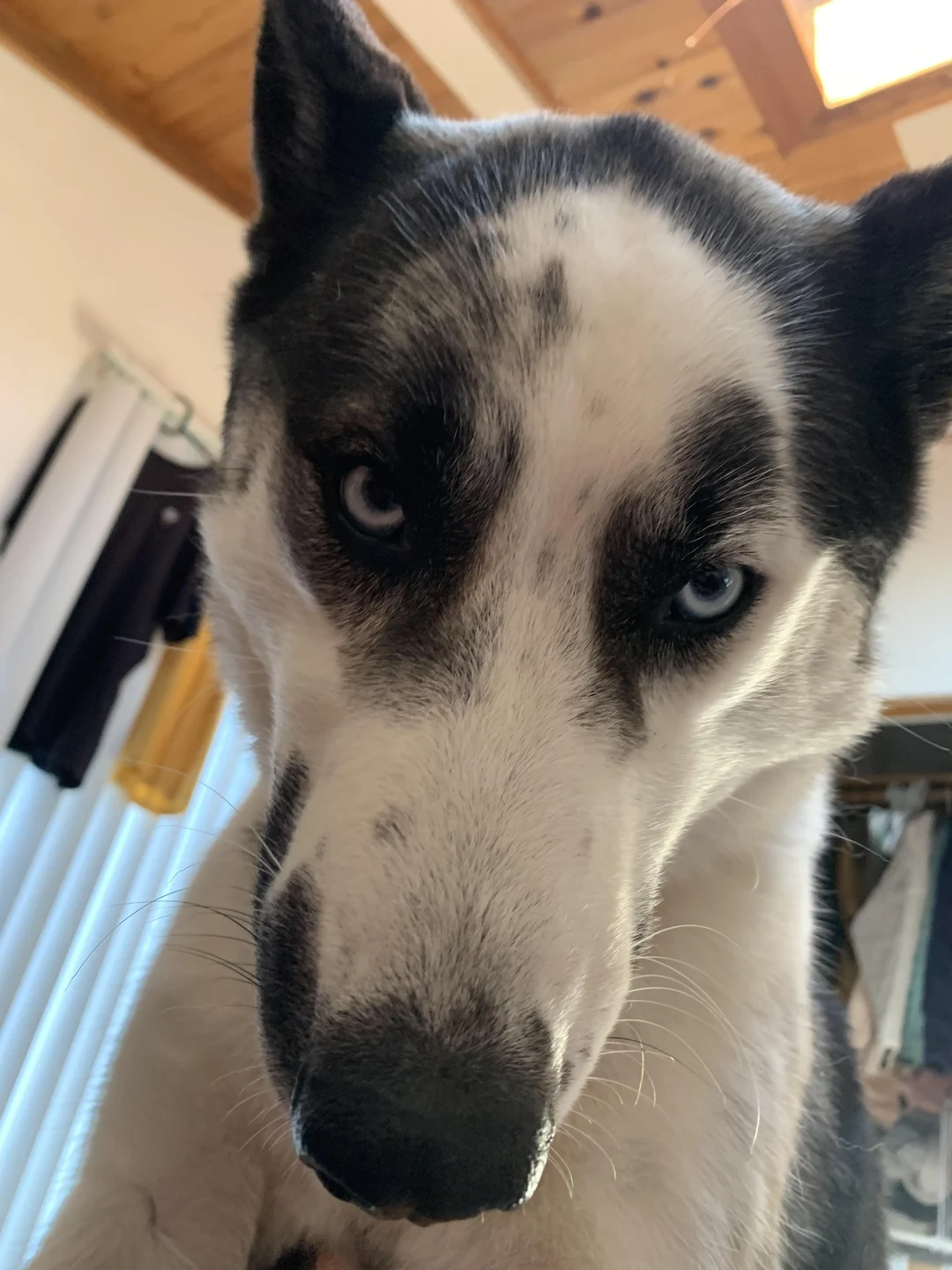 Don’t let this face fool you | Scrolller