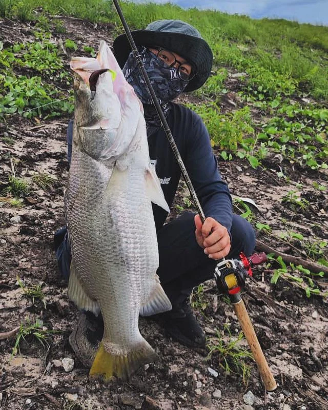 Rolling back the years with tackle from no 10+ years ago | Scrolller