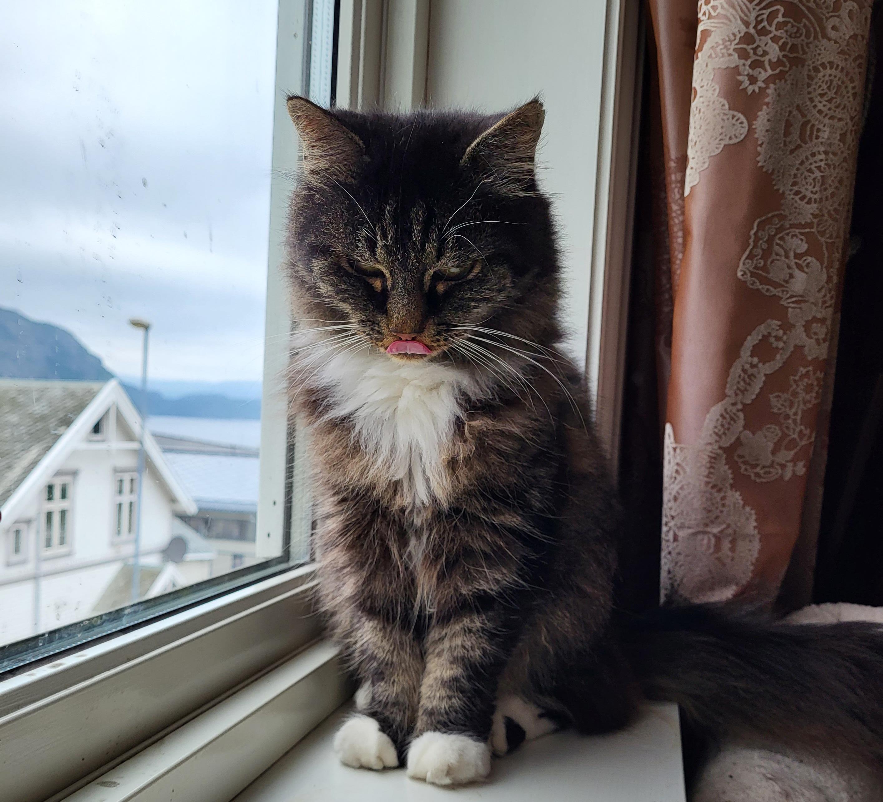 dat tongue👅 | Scrolller