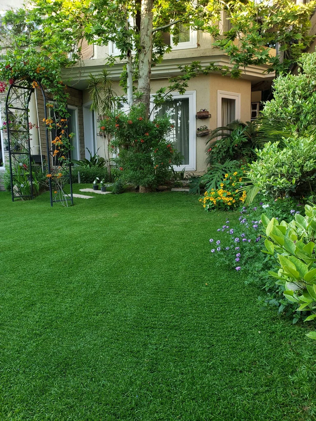 Cozy view of my backyard garden | Scrolller