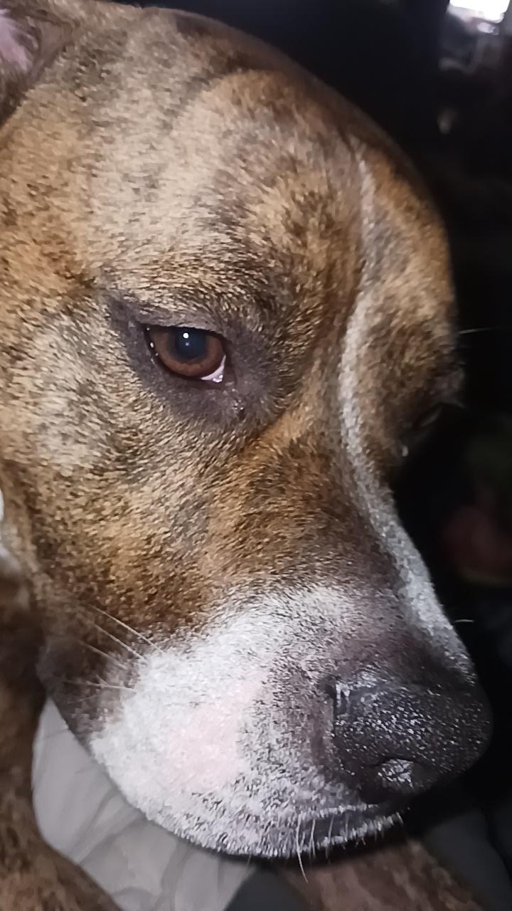 Pretty Girl, Willow. | Scrolller