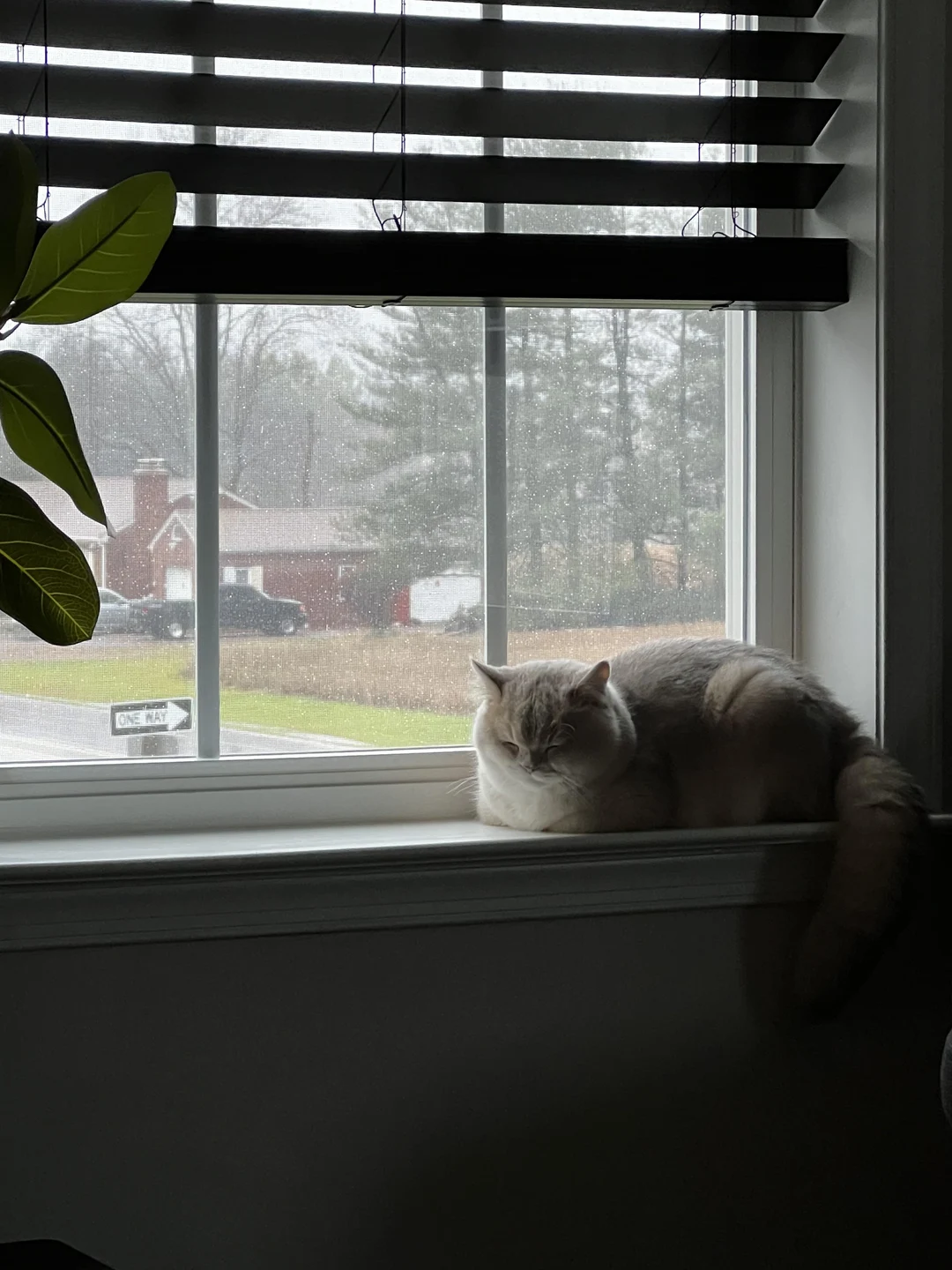 Sleepy loaf | Scrolller