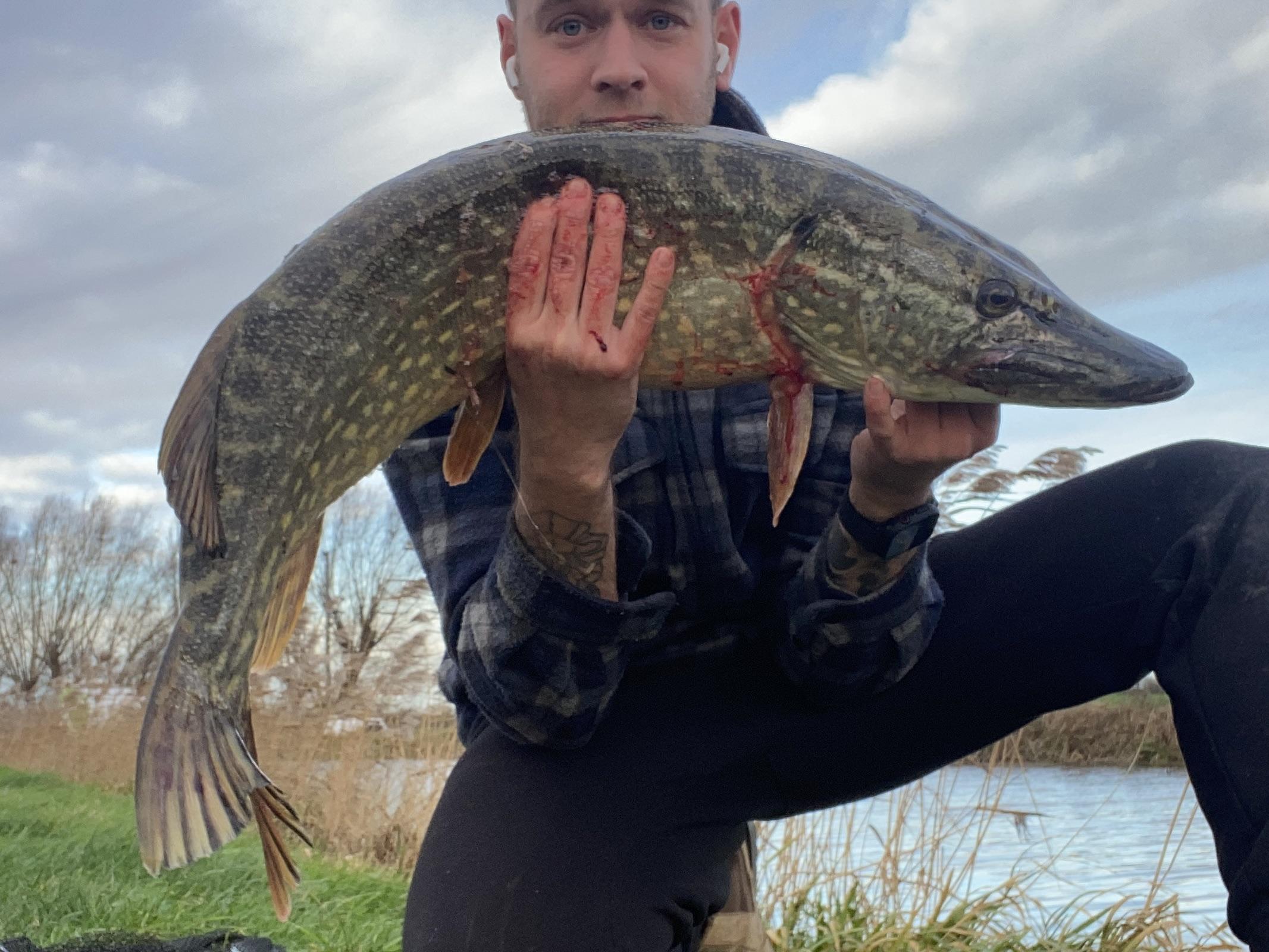 First Pike | Scrolller