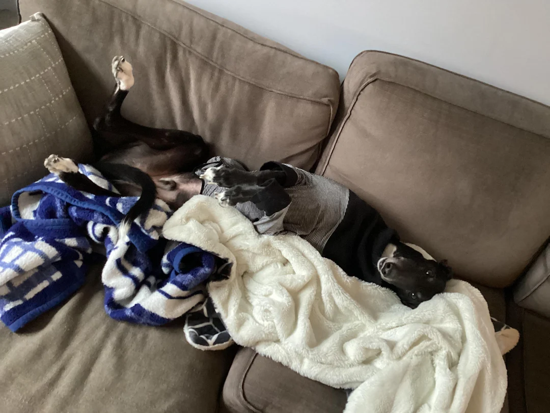 Assisted roach 🤌🏻 | Scrolller