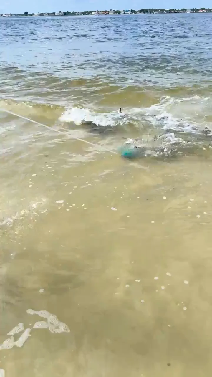 Freezer is full | Scrolller