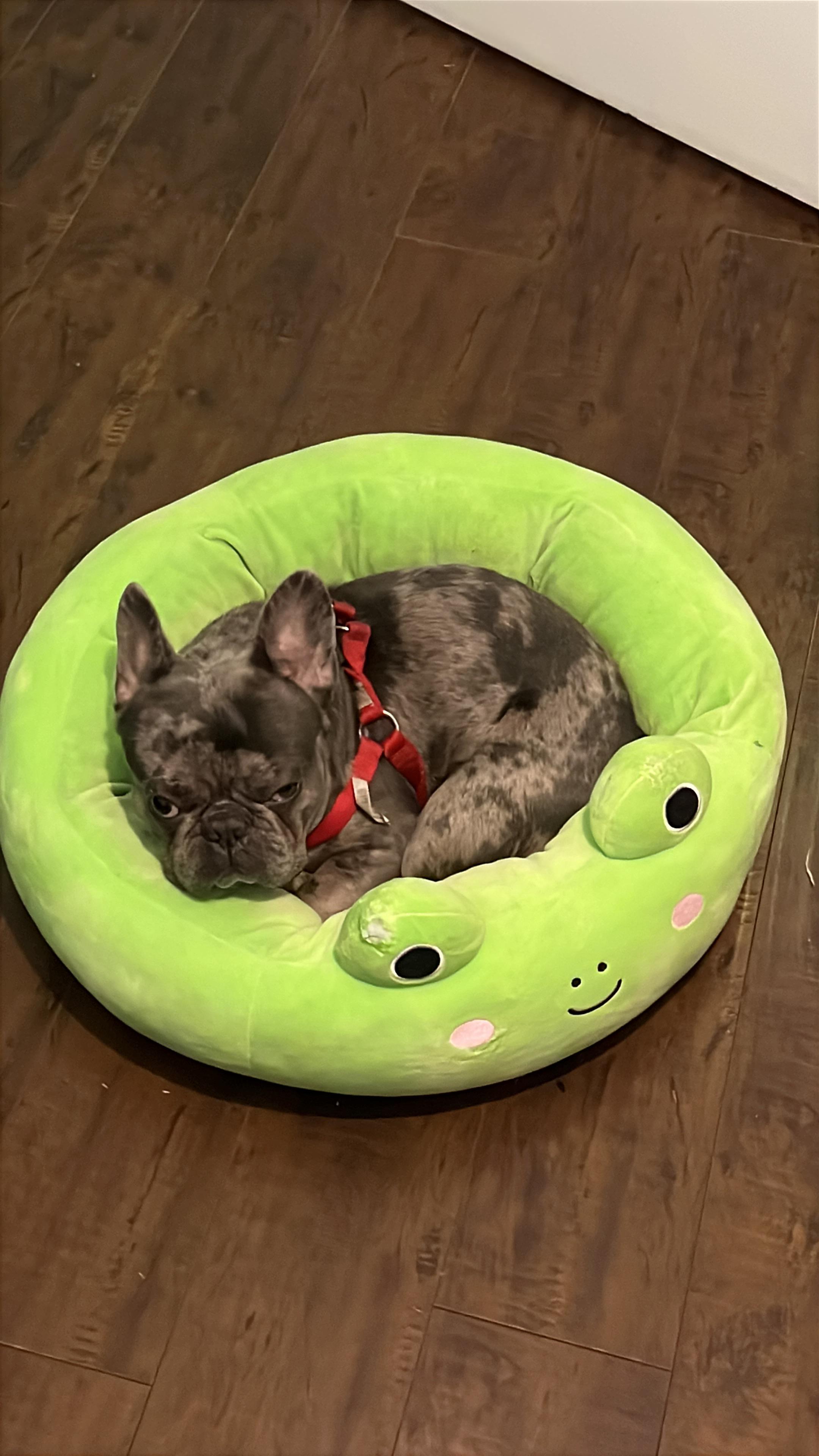 Gorgeous boy. | Scrolller