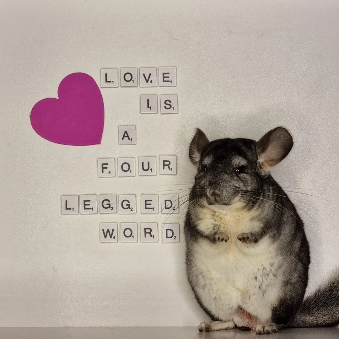 A very true statement from Alfie ️ ️🥰 Do we agree? 💕 | Scrolller