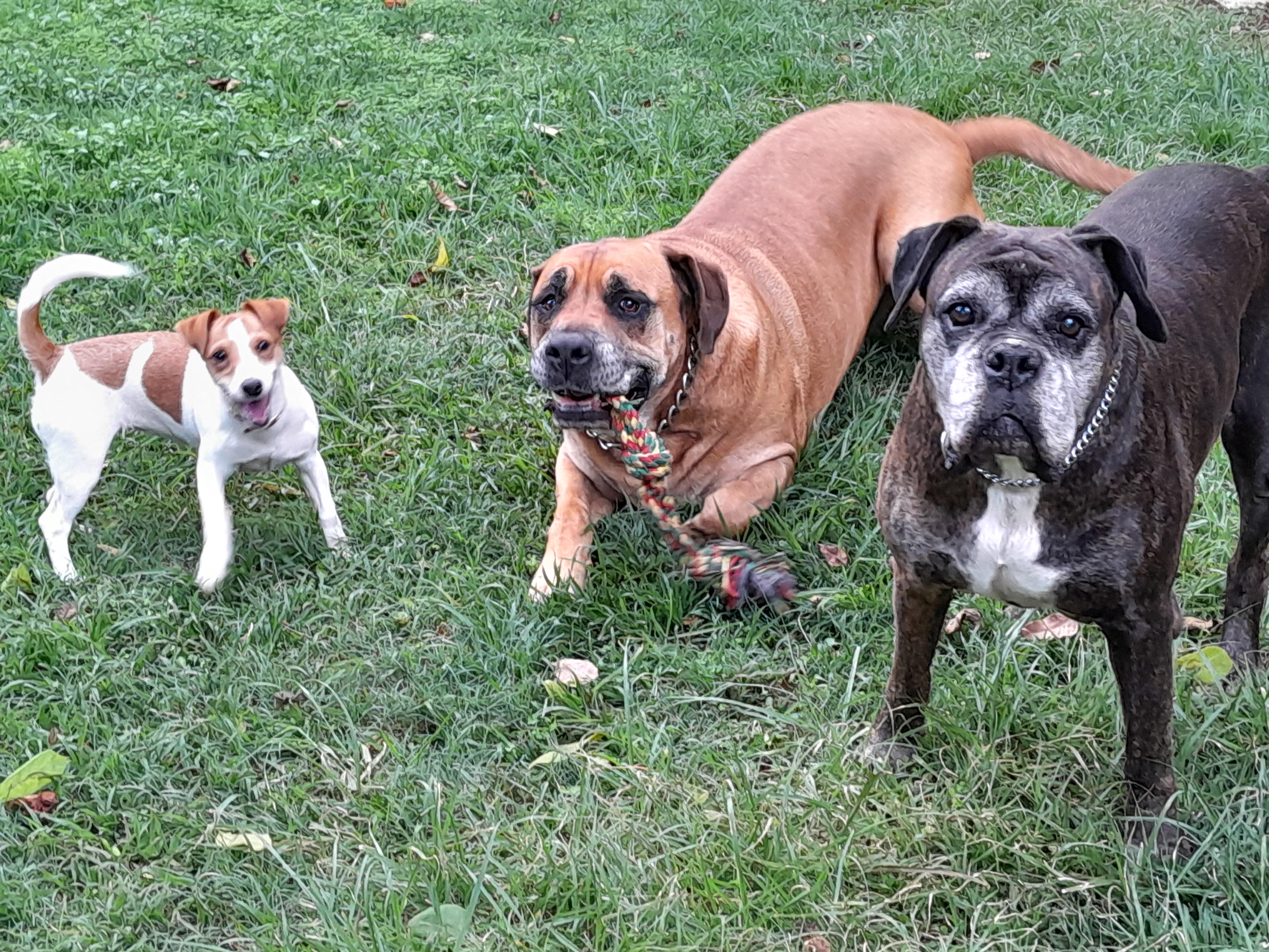 My baby Luna | Scrolller