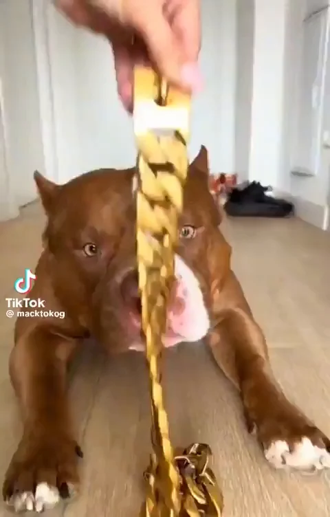 Getting cleaned inside and out | Scrolller