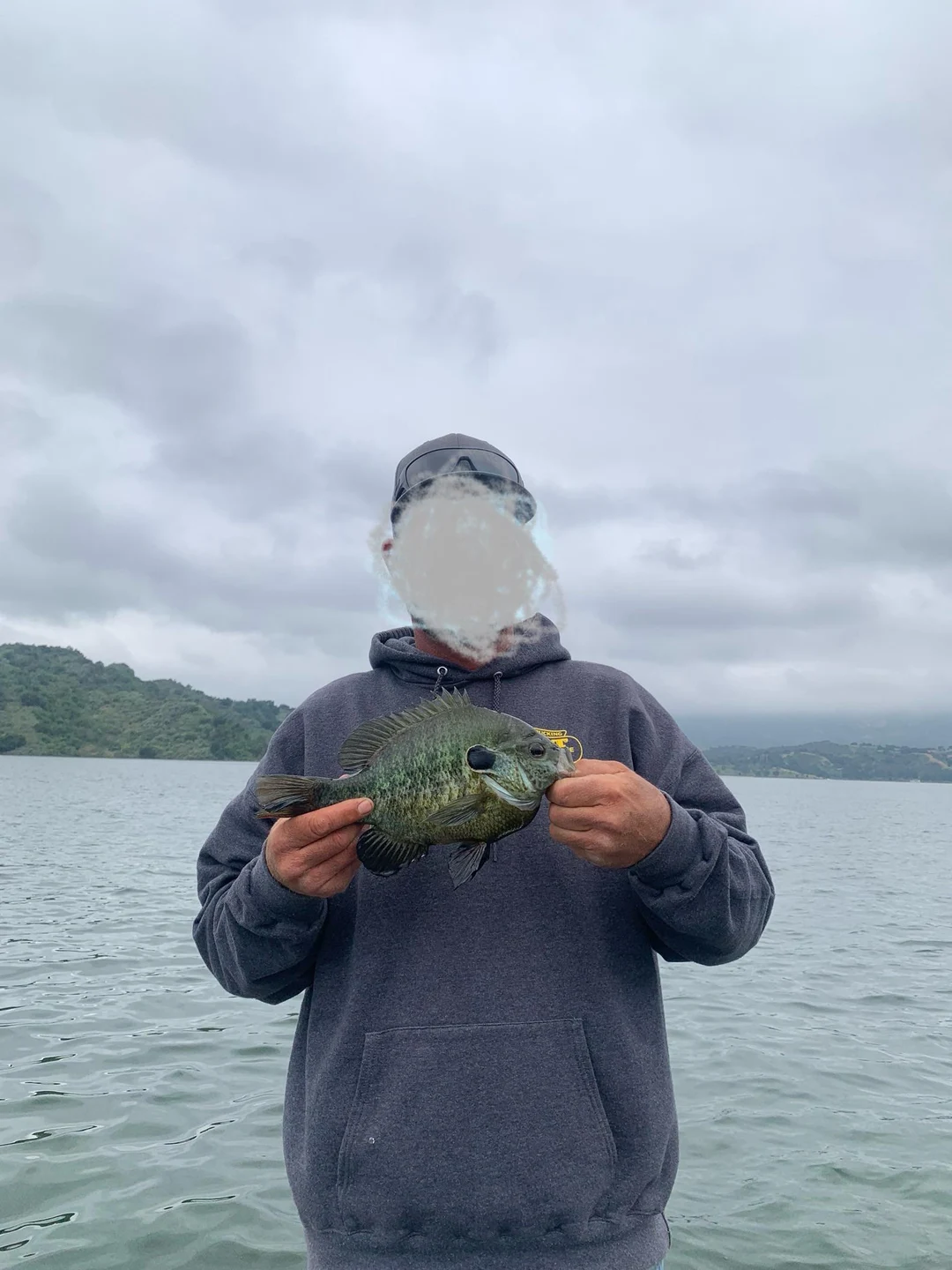 Is this a Bluegill? It was bullying the Bass around. | Scrolller