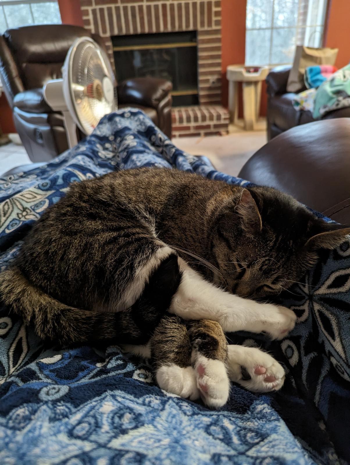 Beeper Big Strechy and aftermath | Scrolller