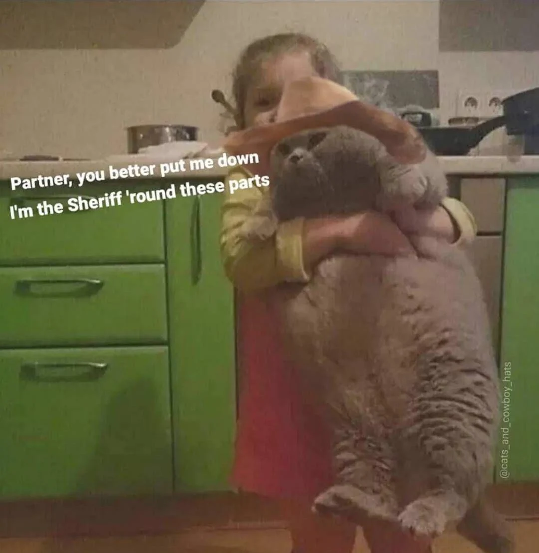 Chonky law | Scrolller