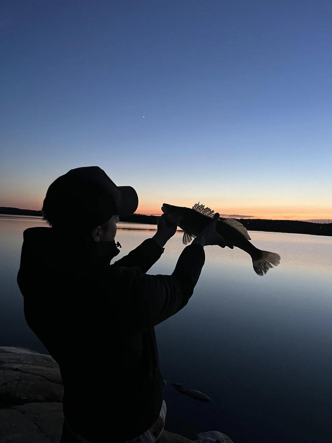 Gf caught me admiring this fish’s beauty | Scrolller
