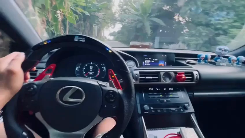 Drive a glowing steering wheel of Lexus IS across the woods | Scrolller