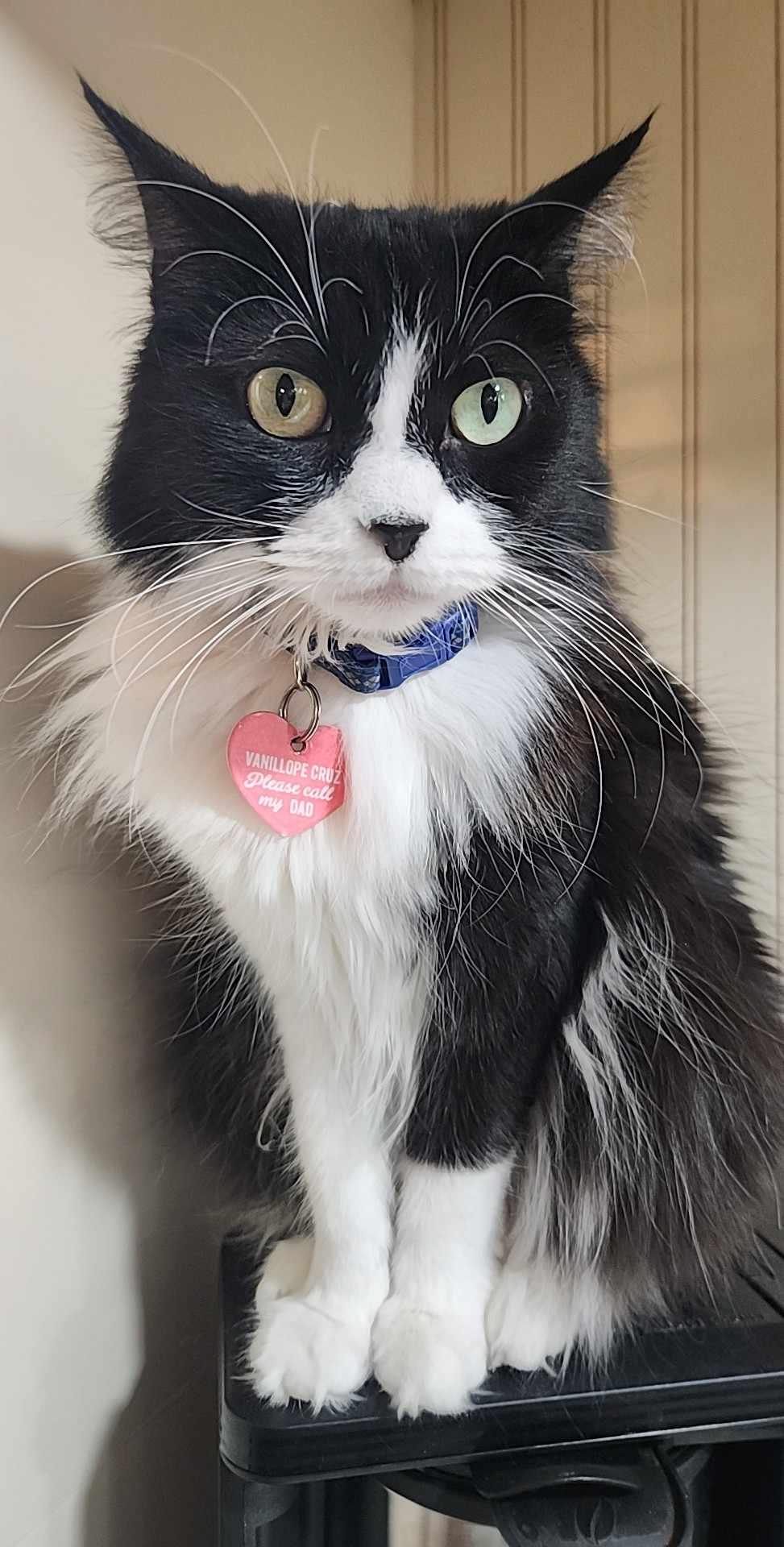 War flashbacks. | Scrolller