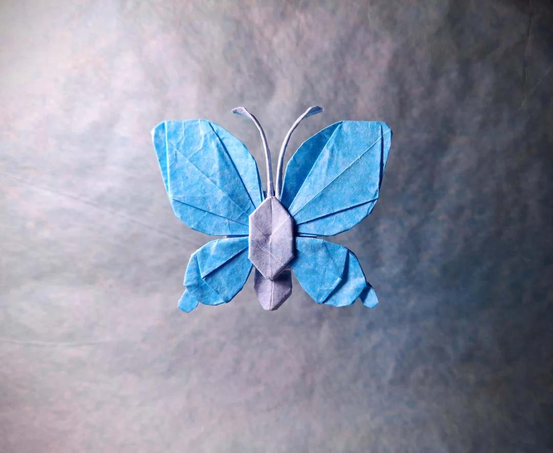 Origami butterfly , fold by me , uncut square paper , 2021 | Scrolller