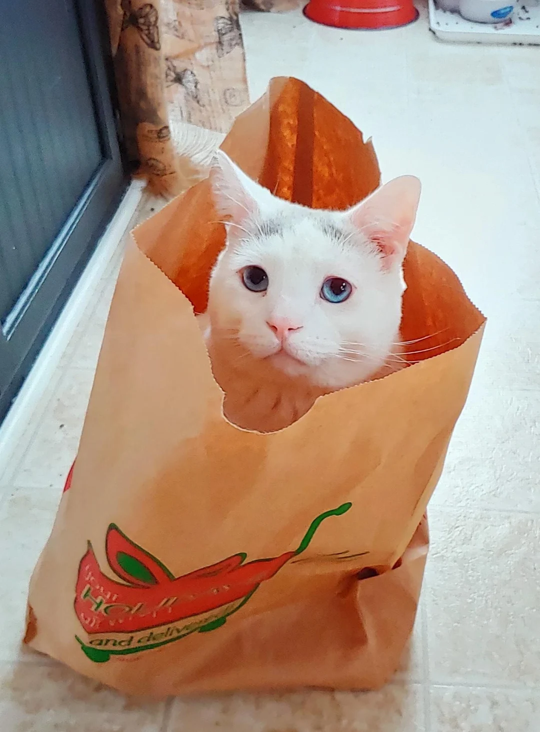 Bagged one | Scrolller