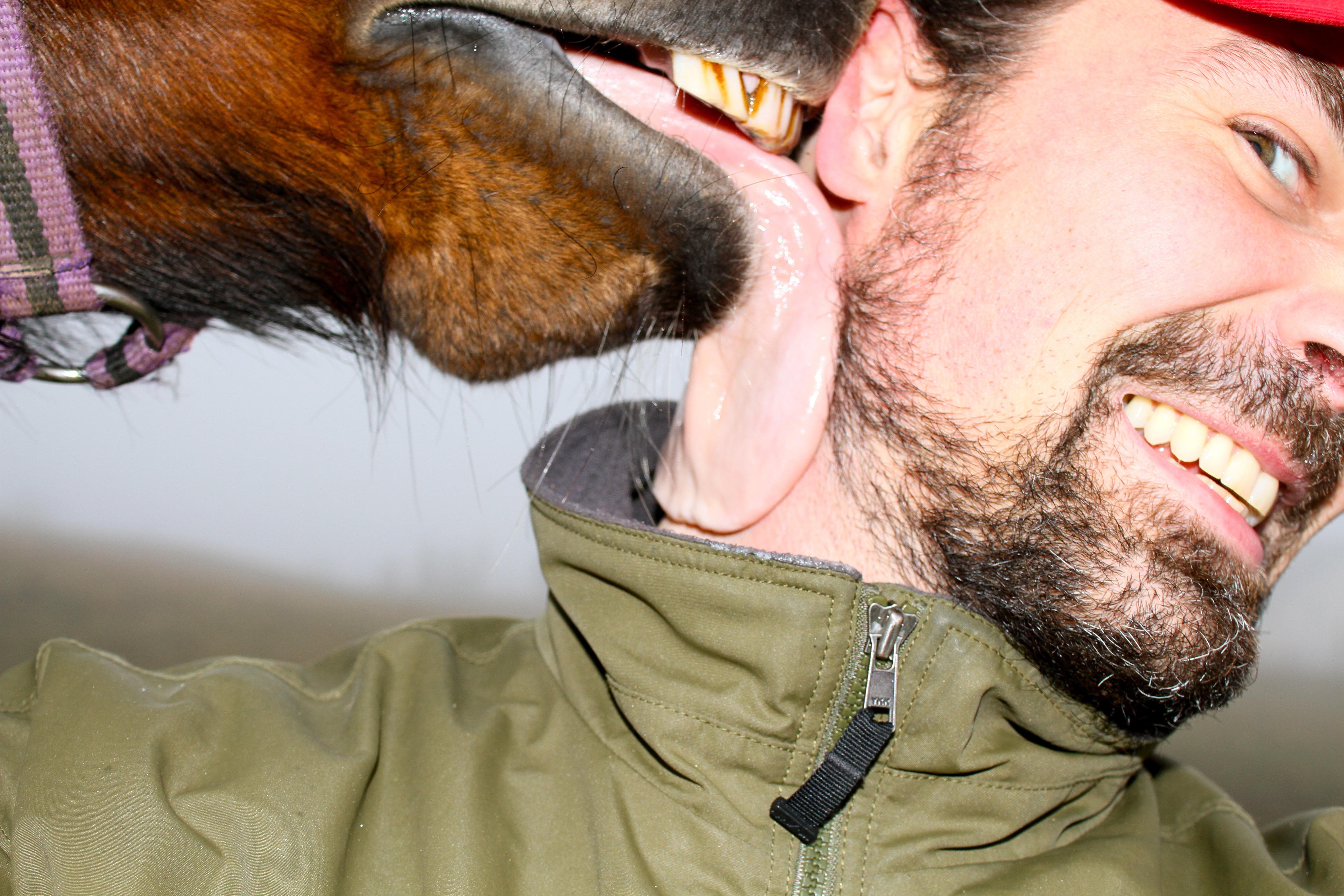 Tried to get a Selfie with Beetle. Mission failed successfully. | Scrolller