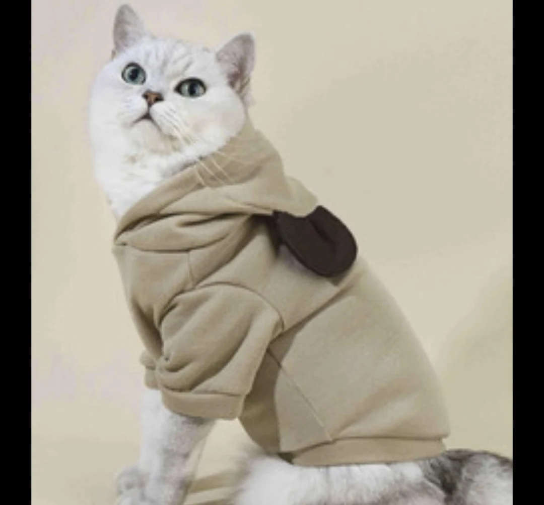 Mishu asks me to keep him warm | Scrolller