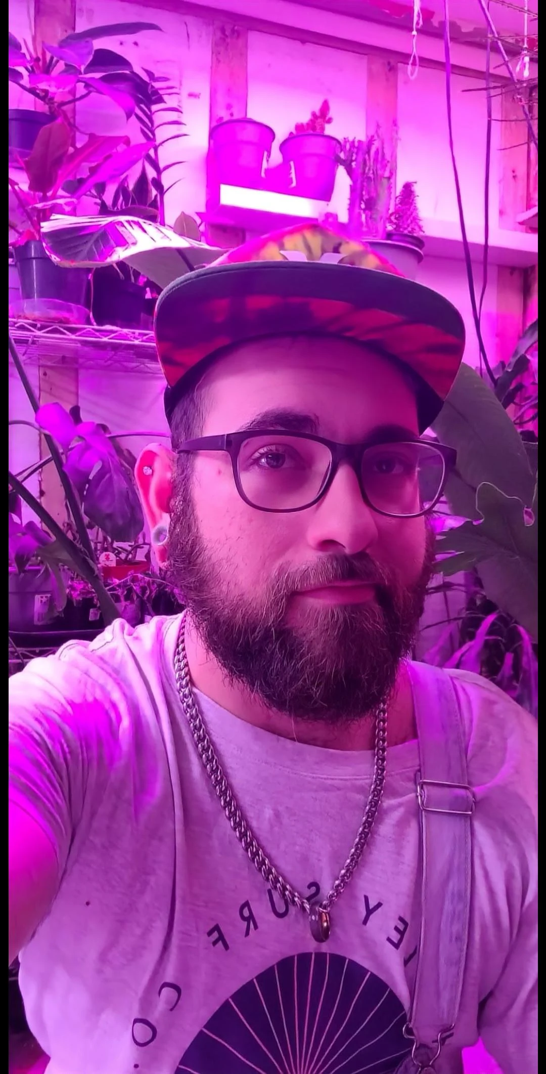 shall we grow some wumpa fruit | Scrolller