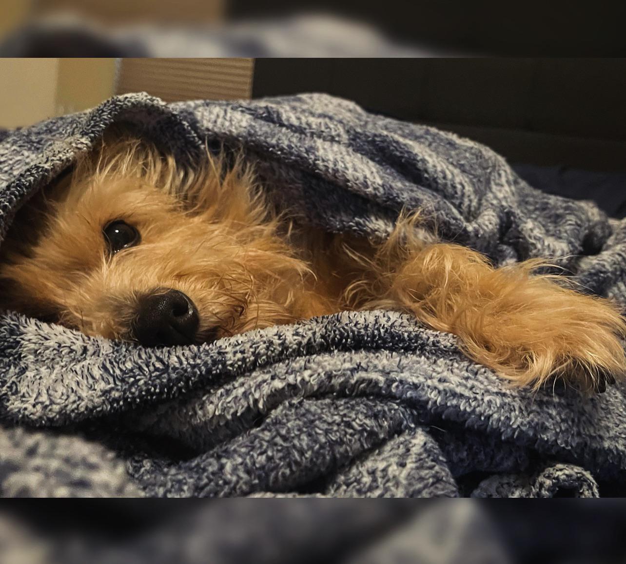 Pinkie is so cozy! | Scrolller