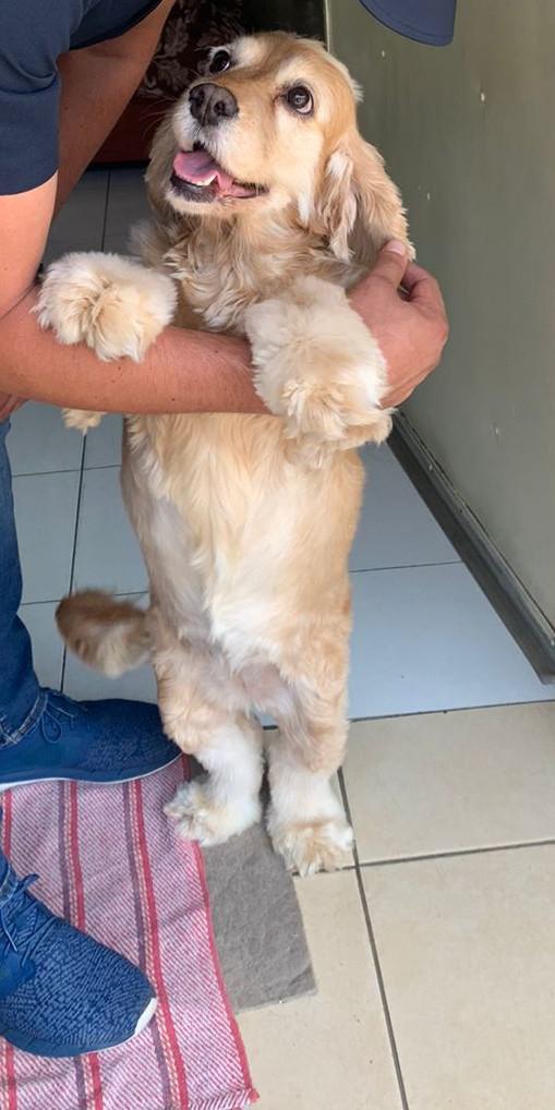 Una mirada de amor sincero | Scrolller