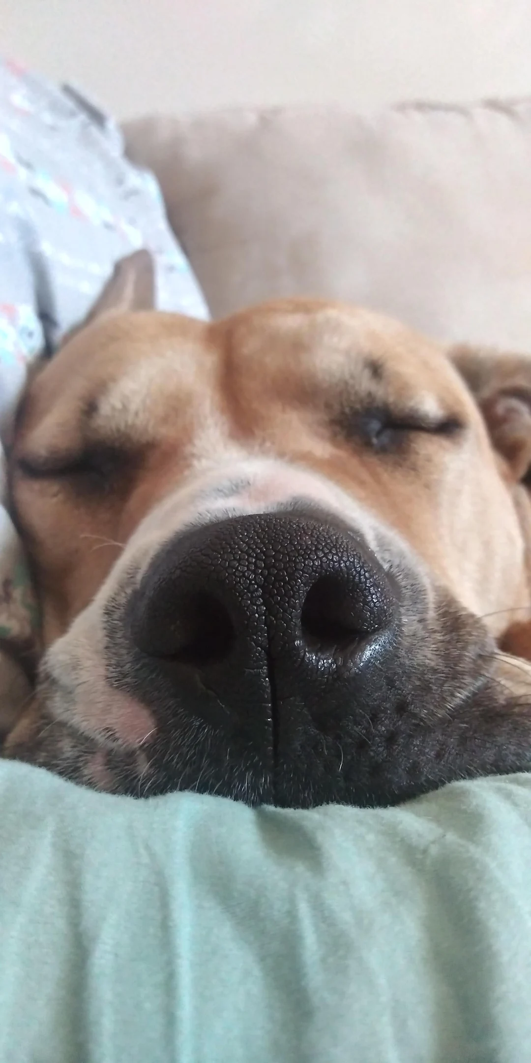 post walk naps | Scrolller
