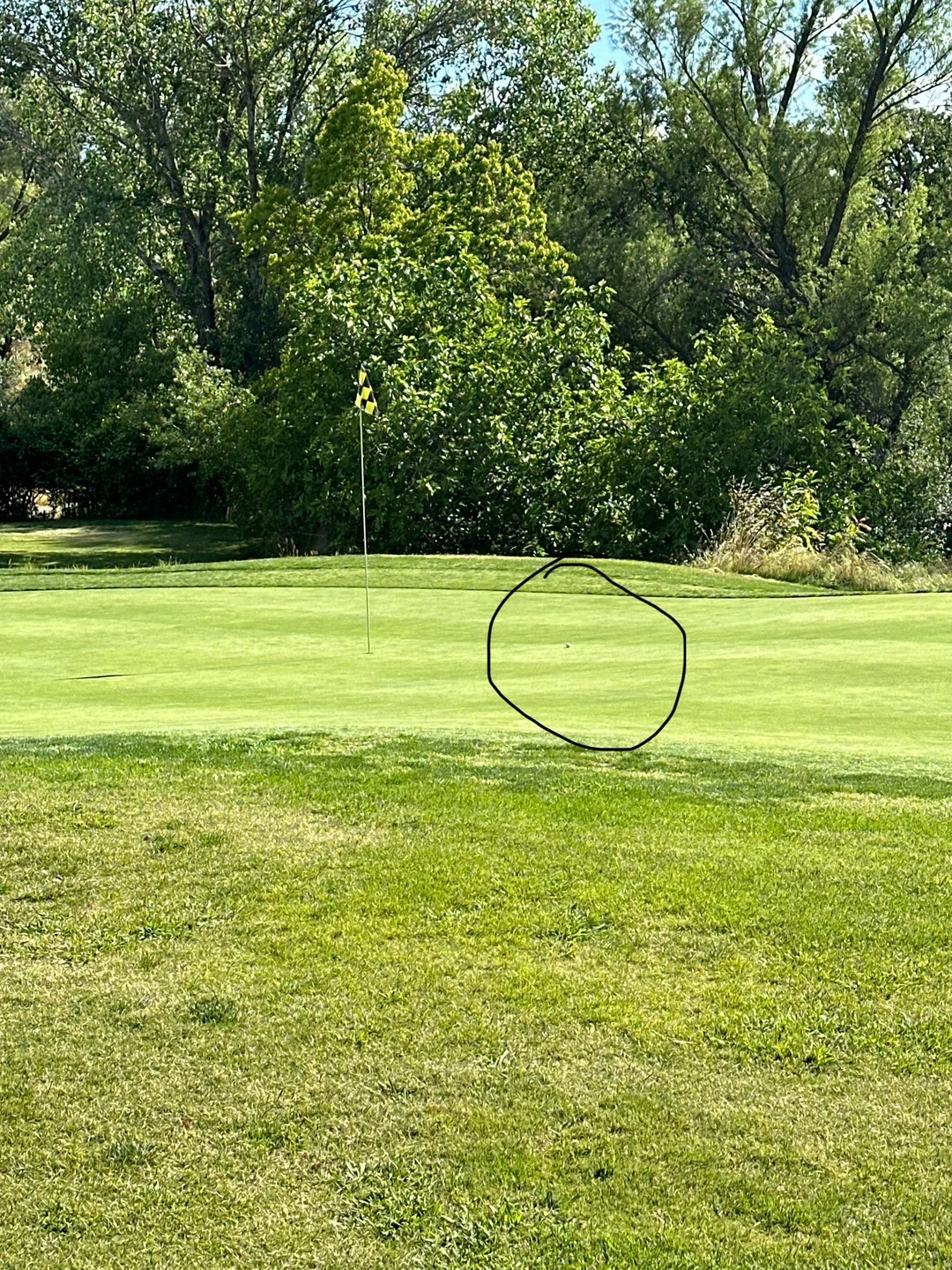 Eagle putt, made par. | Scrolller