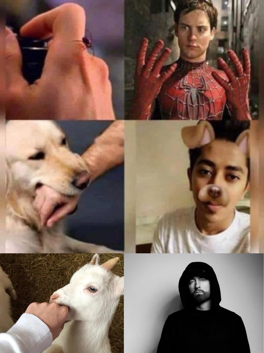 Tobey Maguire got bit by a spider, but see, me, it was a goat | Scrolller