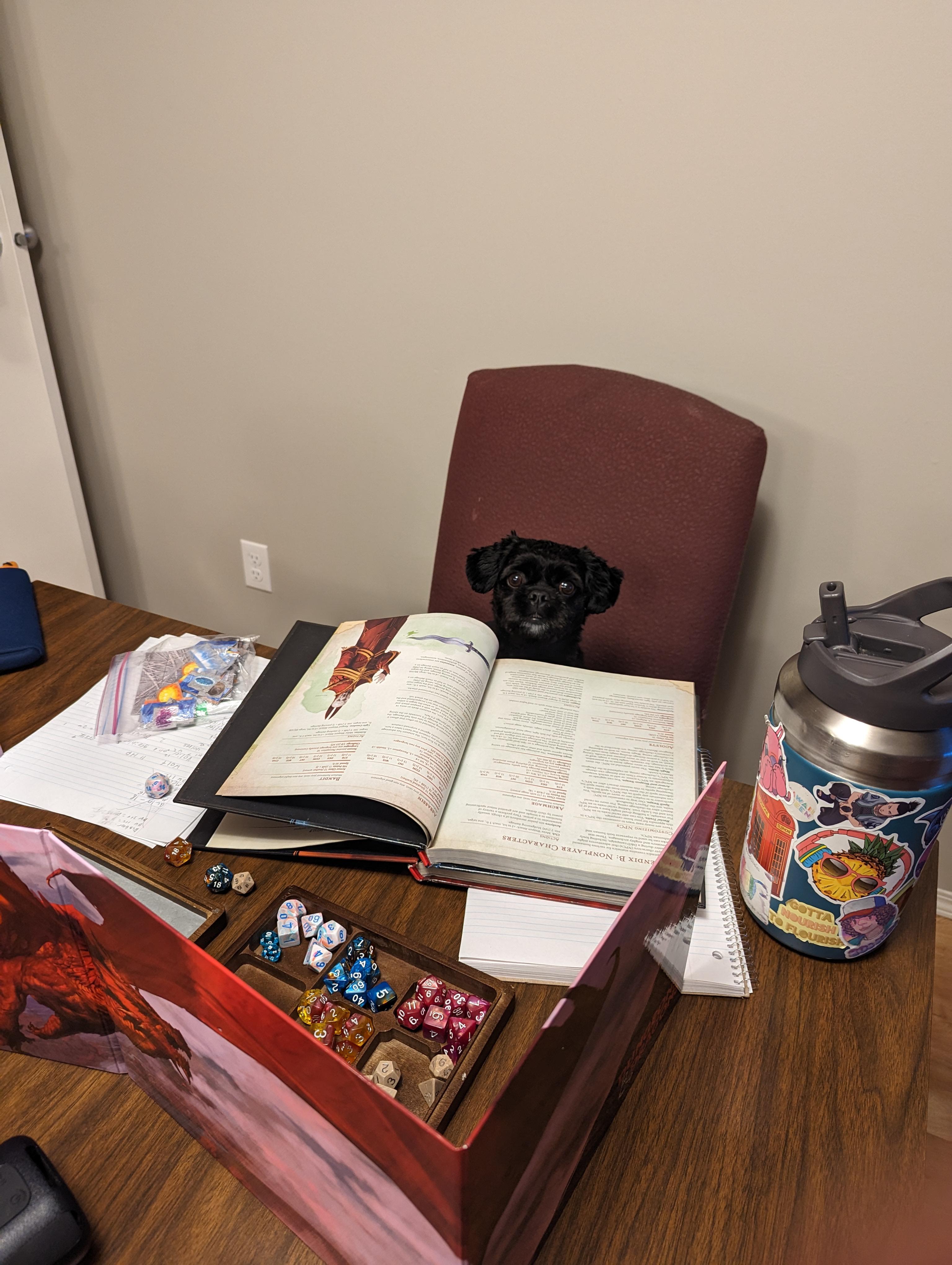 Rosie the dungeon master | Scrolller