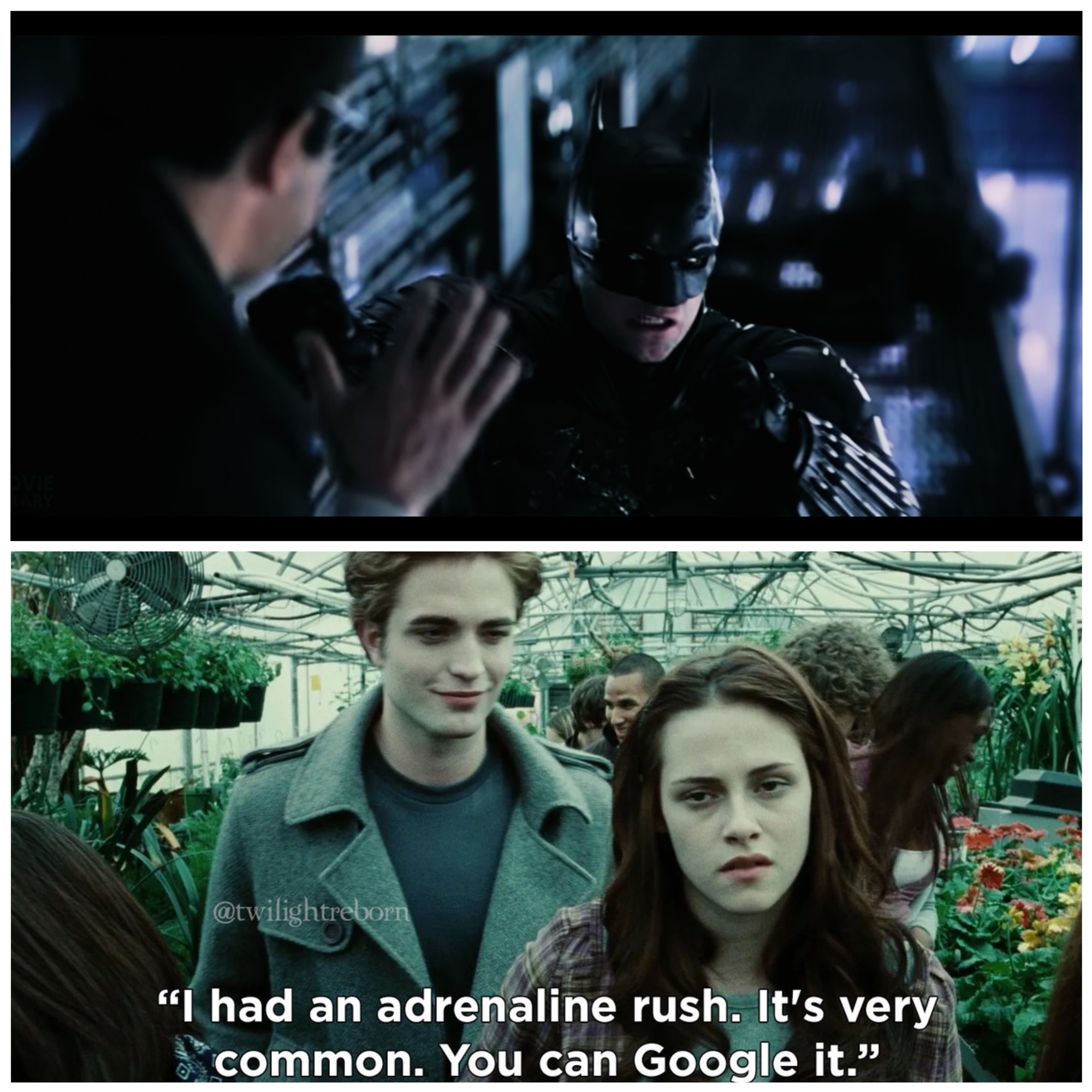 Twilight x The Batman cross(oc)ver | Scrolller