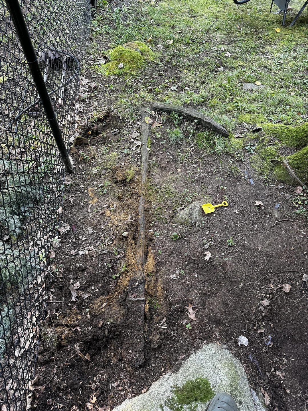 What did I just find in my yard? | Scrolller