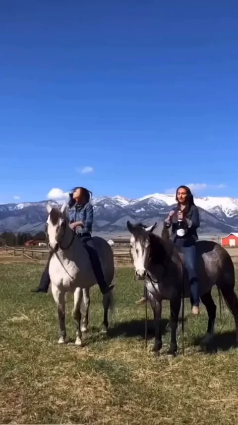 HMC while I spook the horses | Scrolller