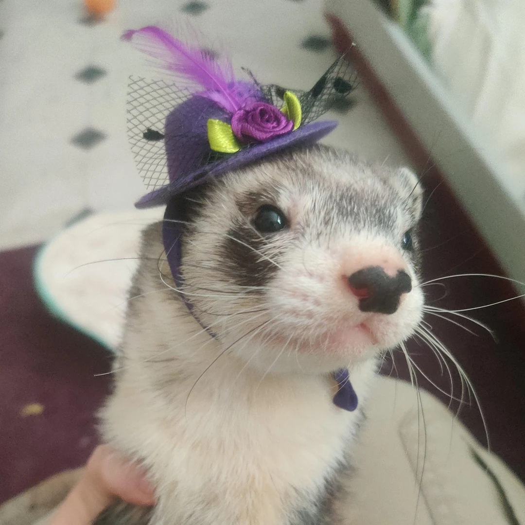 Having a bad day? Arin in a hat to the rescue! | Scrolller