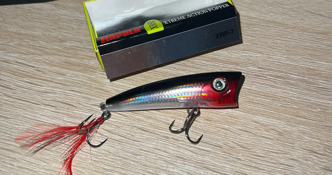 Favorite Topwater?? | Scrolller