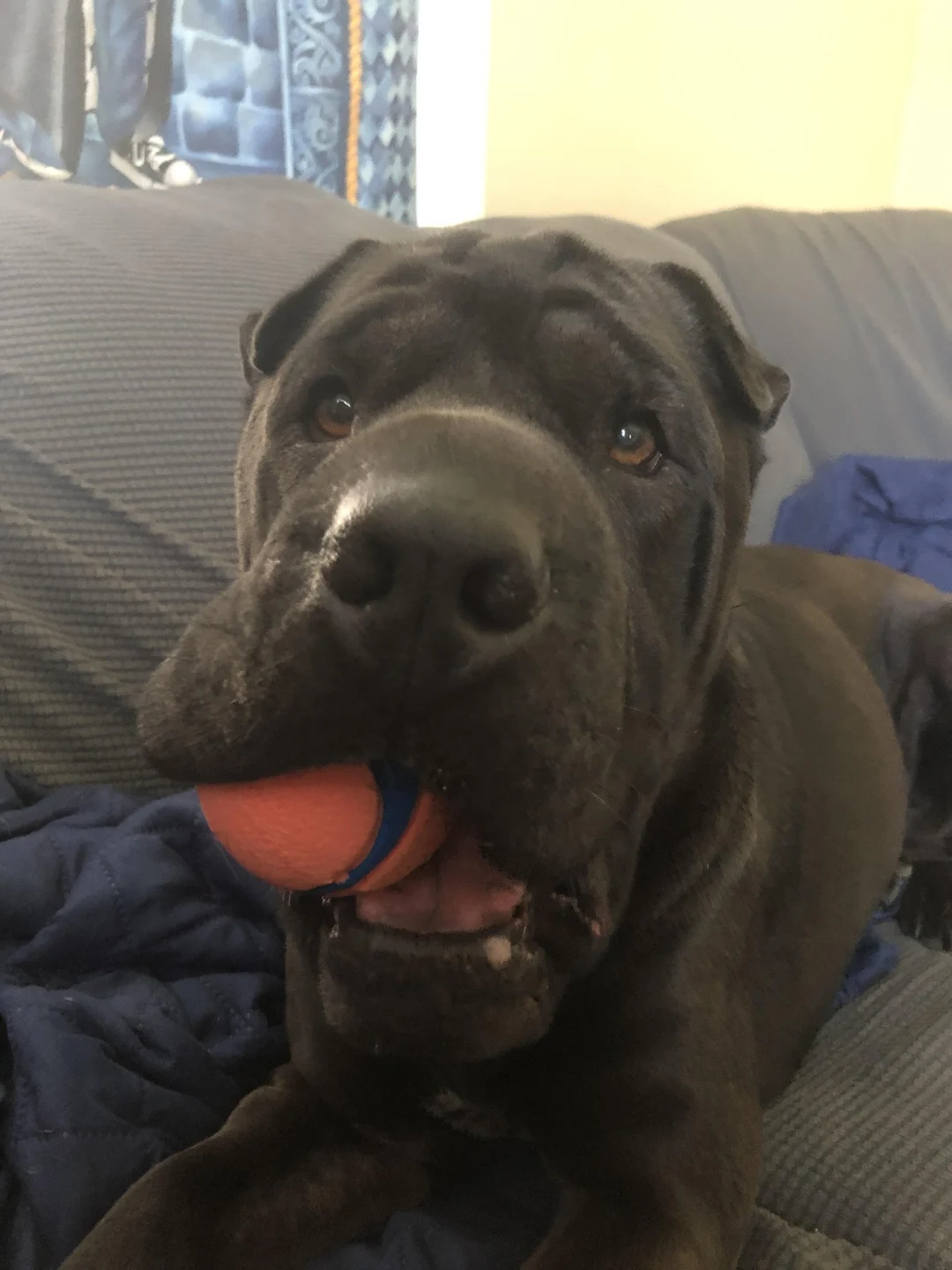 Frances wants to play ball! | Scrolller