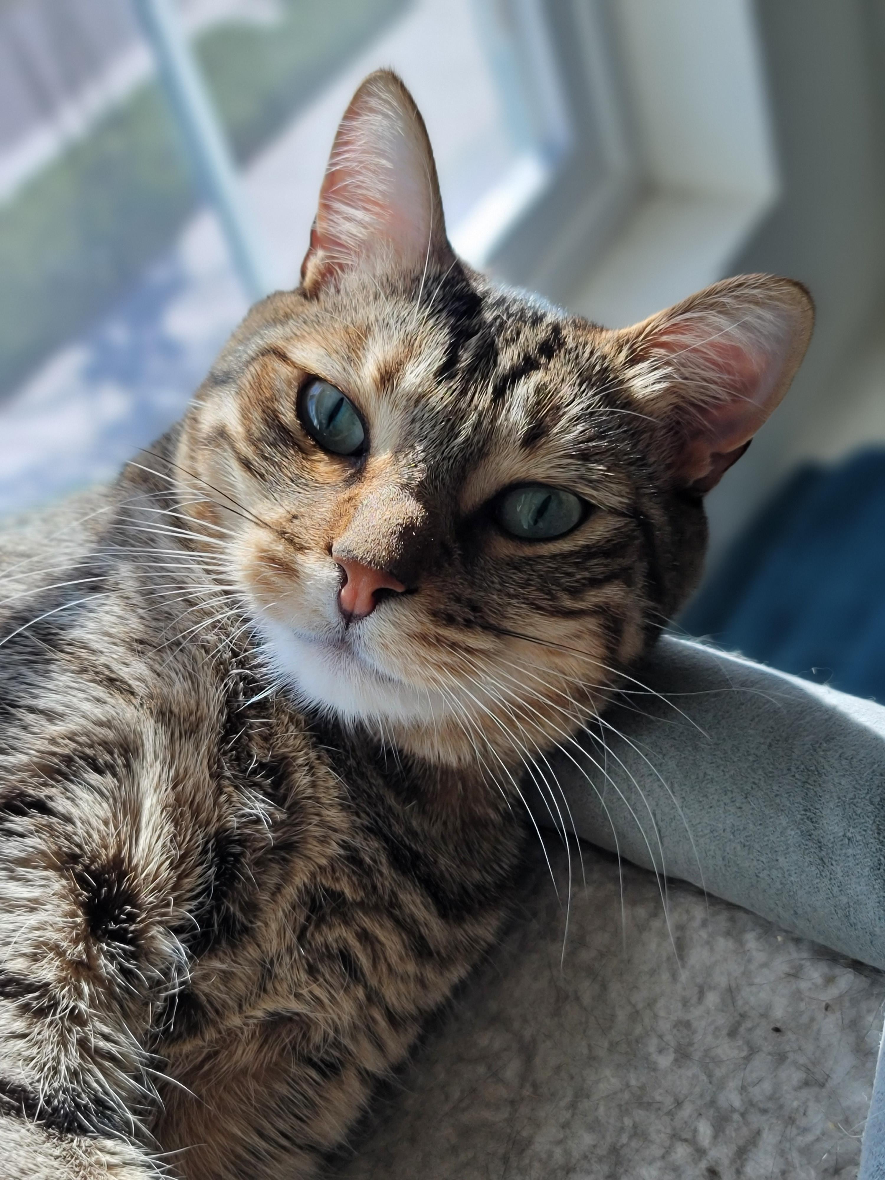 Gary my Snail | Scrolller