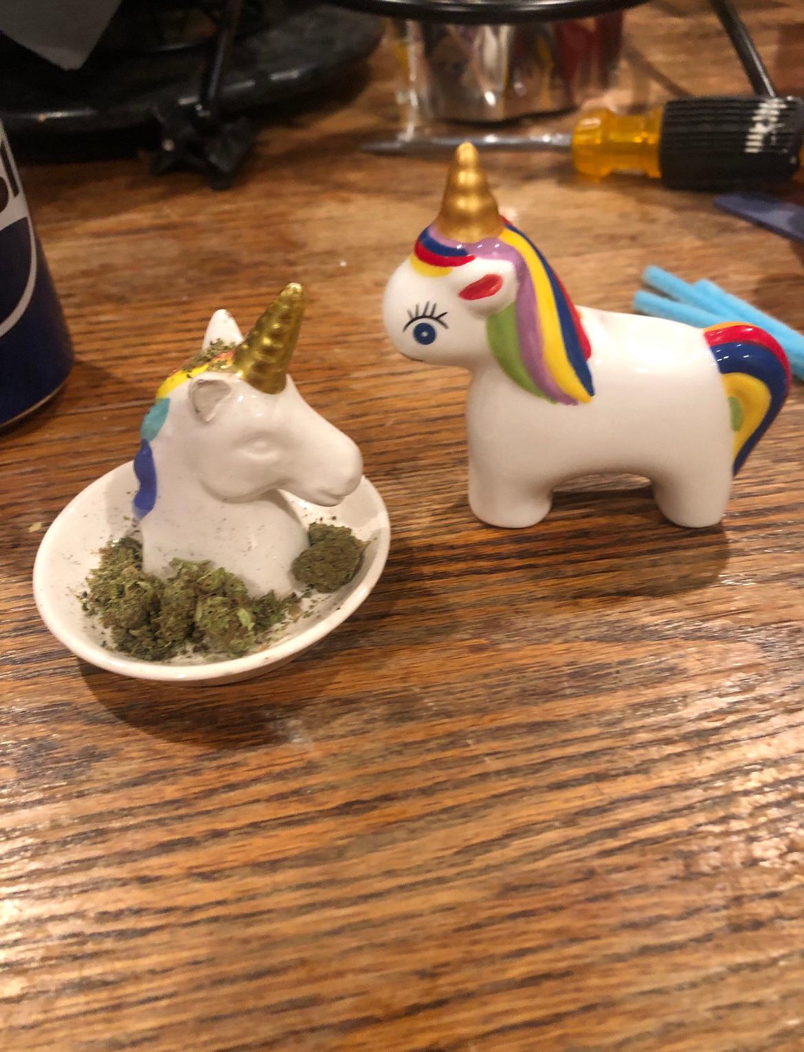 Friends 🦄 pipe | Scrolller