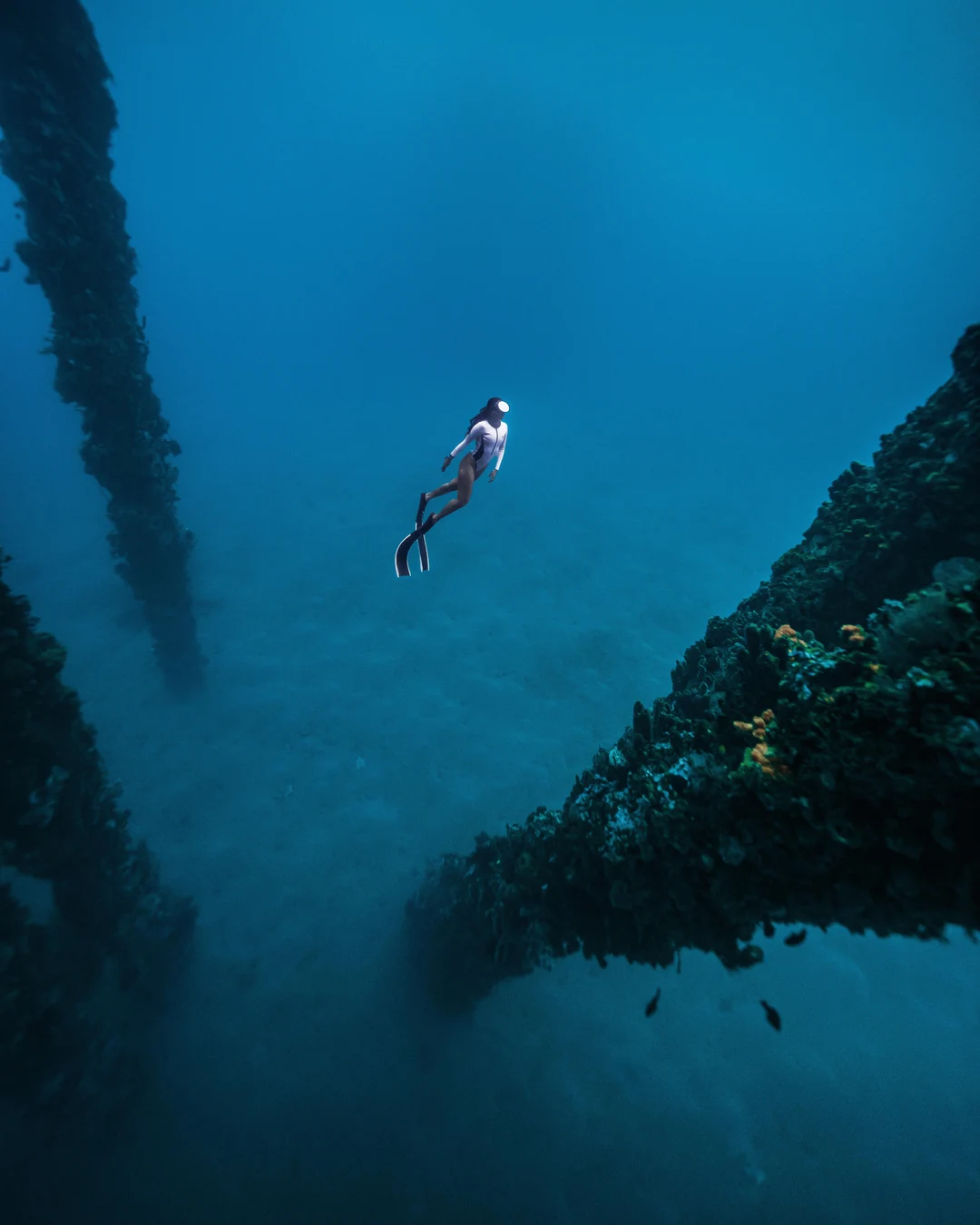 Freedive exploration | Scrolller