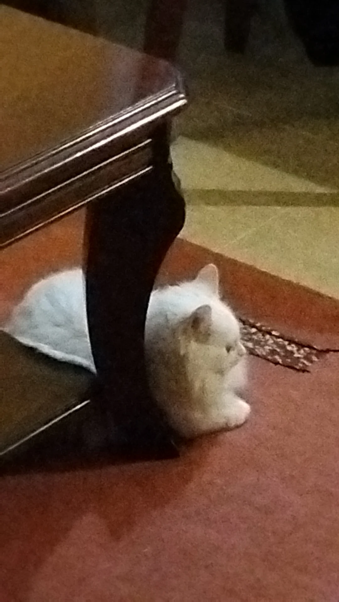 Loafing this 😍 | Scrolller