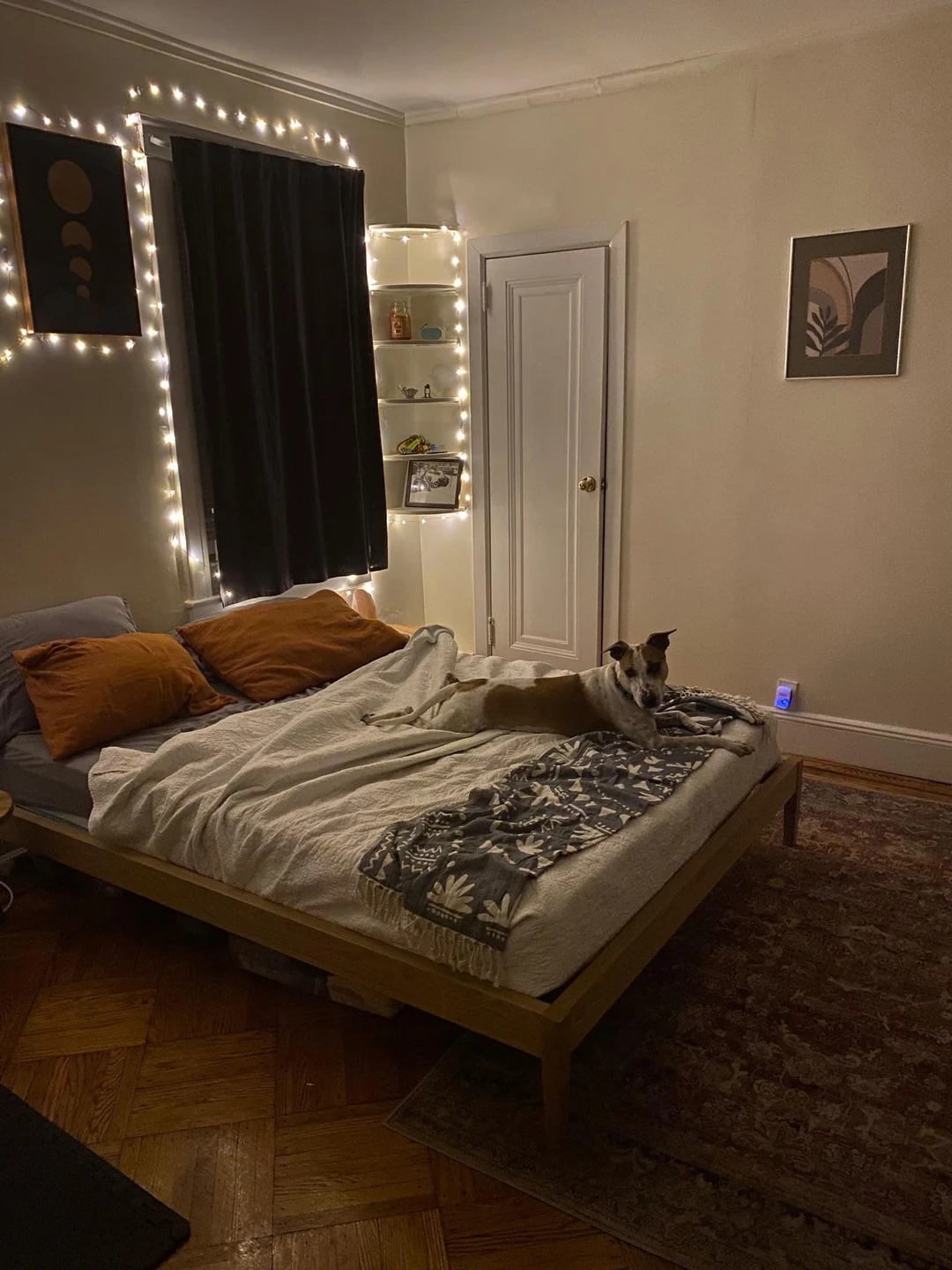 Little Brooklyn bedroom (+pup!) | Scrolller
