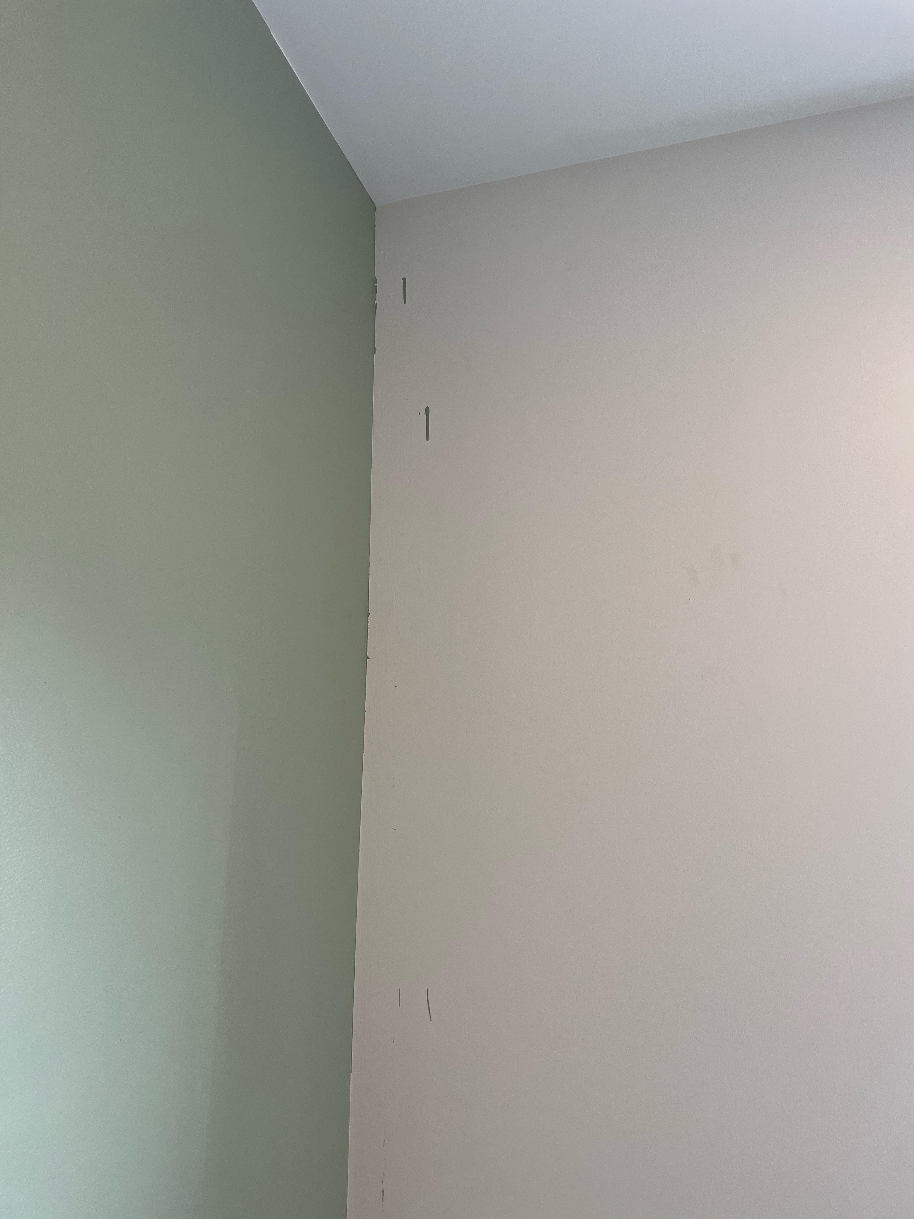 Paint splatter | Scrolller