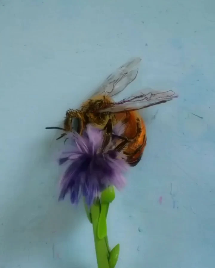 Visual Confusion | Scrolller