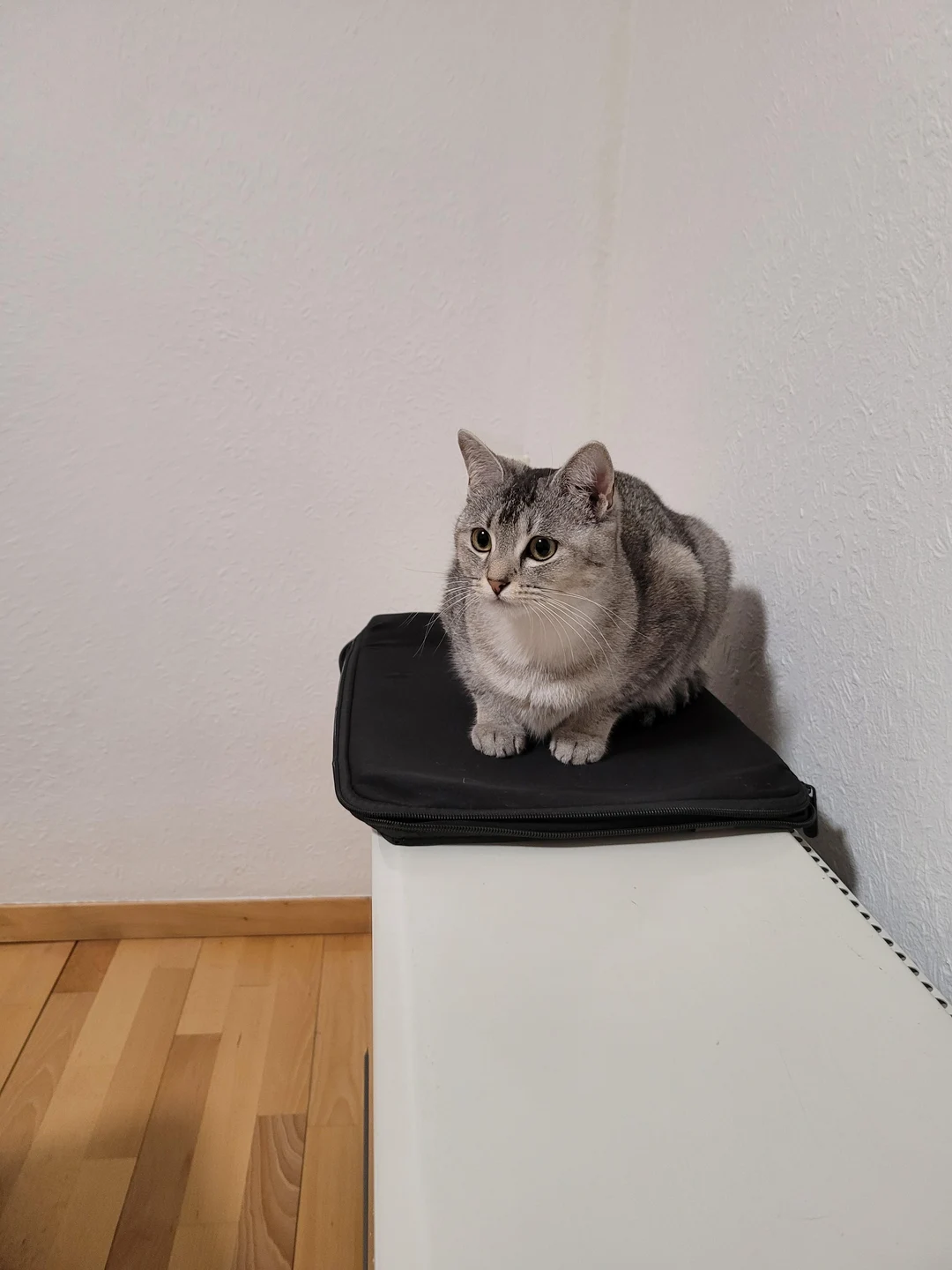 She was trapped immediately... | Scrolller