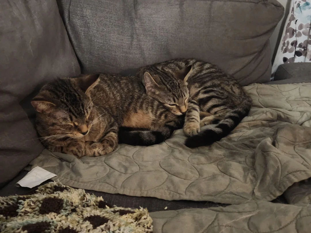 Just a mother and her daughter snoozing on the couch | Scrolller