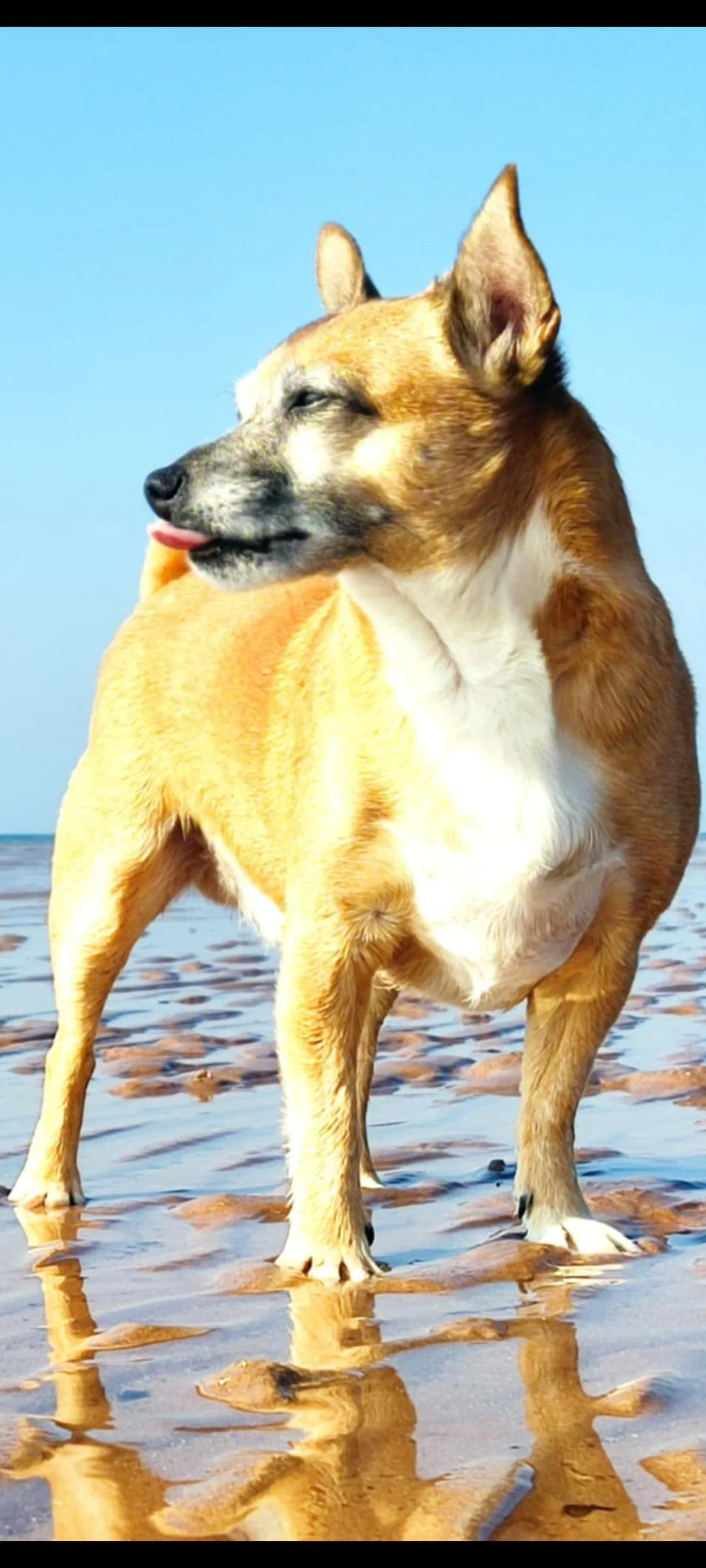 Frank "the tank"...head of security | Scrolller