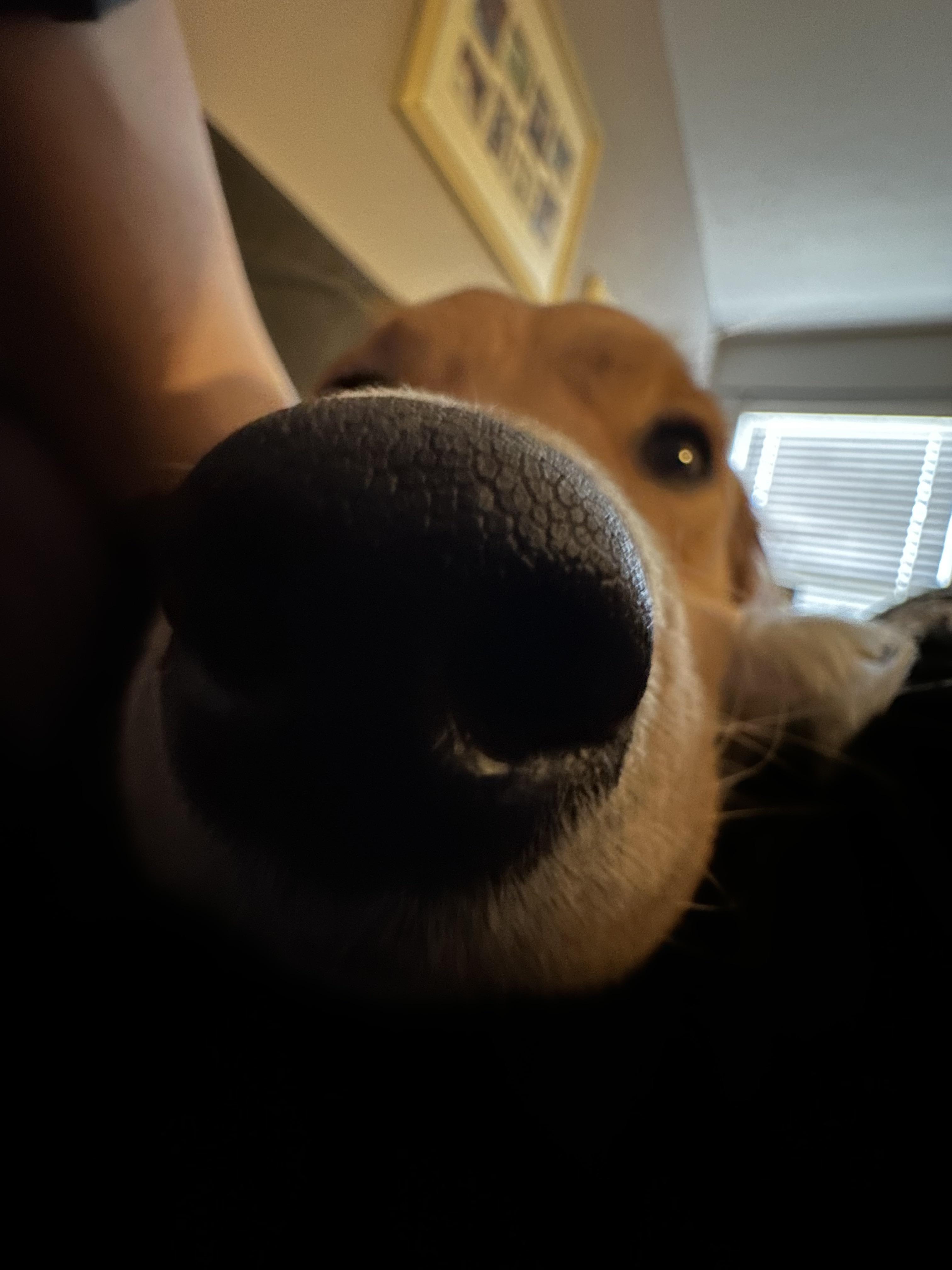 (OC) POV: You’re an open bag of chips. | Scrolller