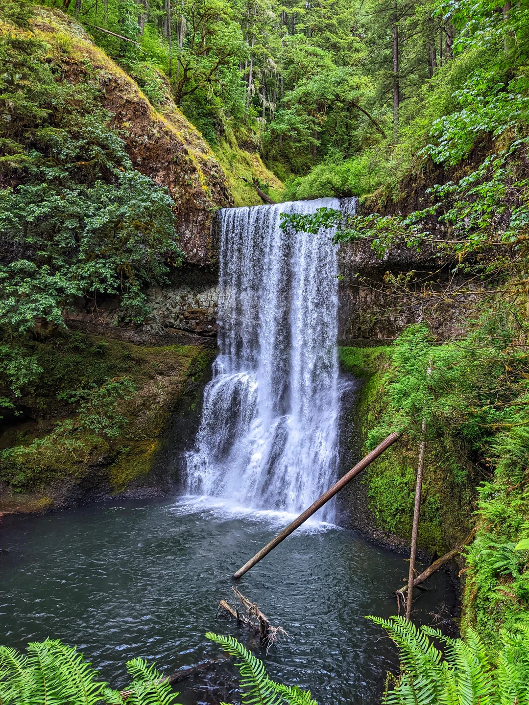 Silver Falls State Park, Oregon [OC] [3024x4032] | Scrolller