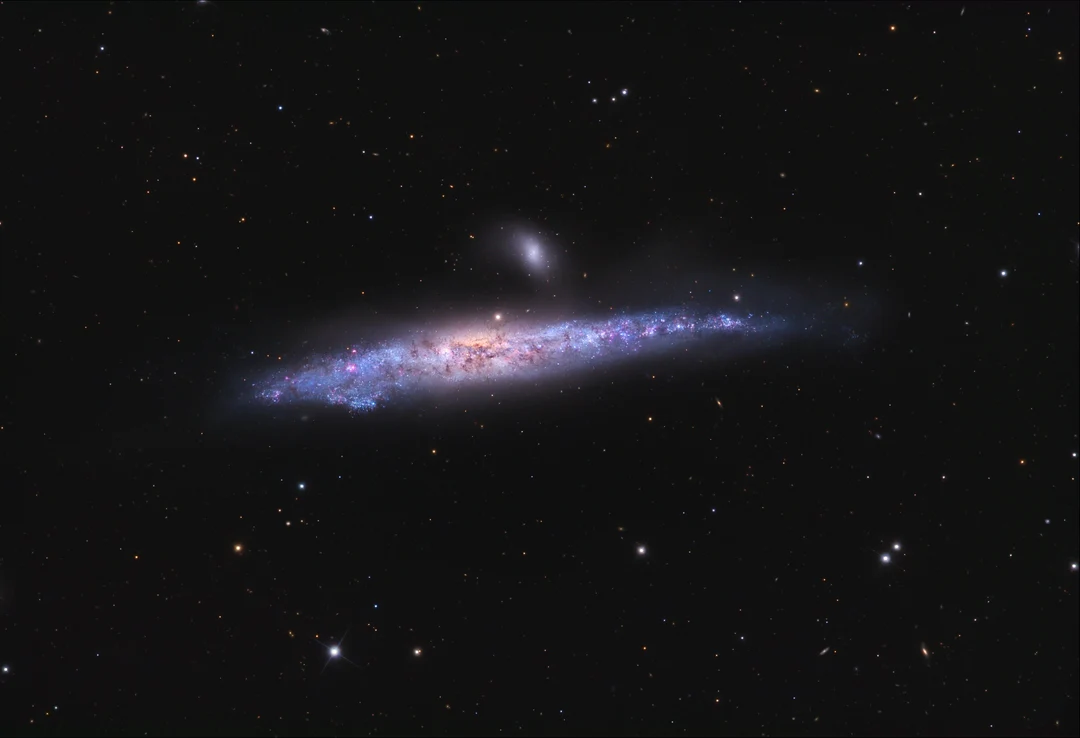 The Whale Galaxy [Image credit: Adam Block, Mt. Lemmon SkyCenter, U. Arizona] | Scrolller